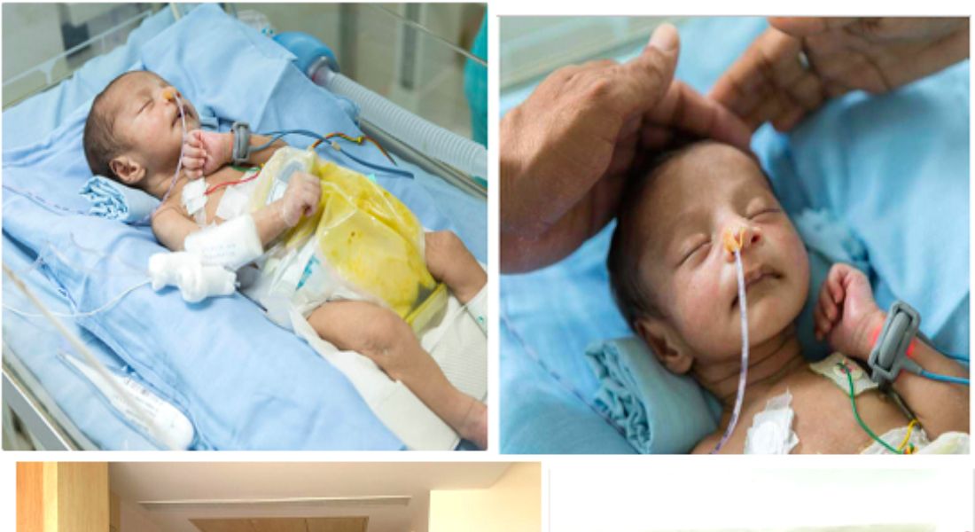 Nothing Short of a Miracle| NICU Family Story| Miracle Baby Out By 51 Days