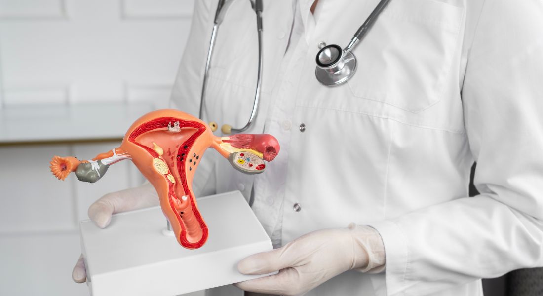 Hysteroscopy Cost & Uses| Learn About Hysteroscopy Tests & Uses