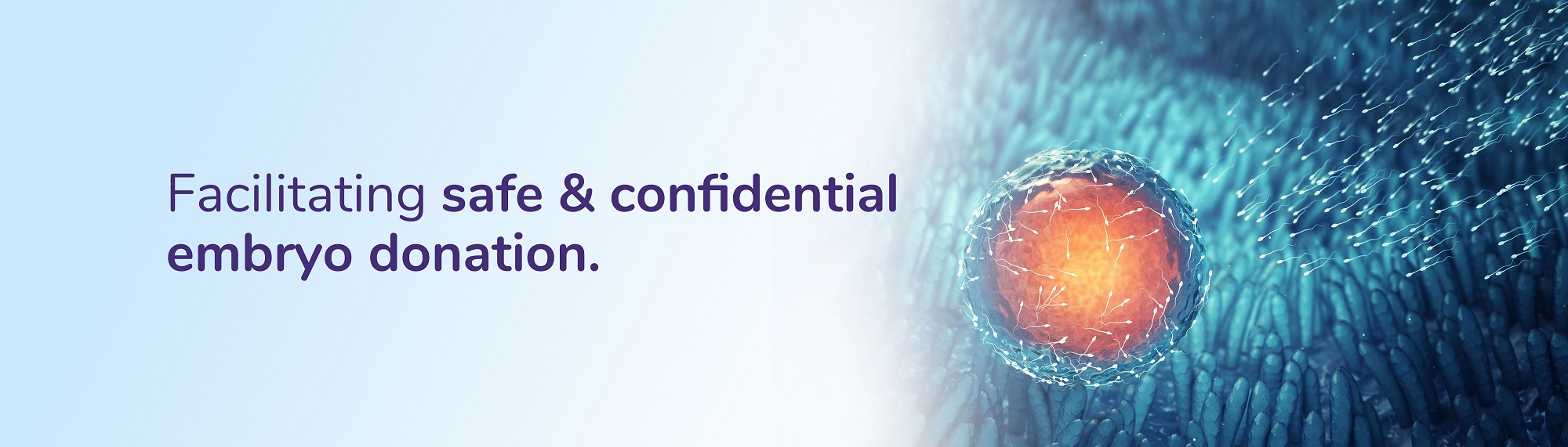 Oocyte Donor Treatment center in India & Near Me | BirthRight by ...